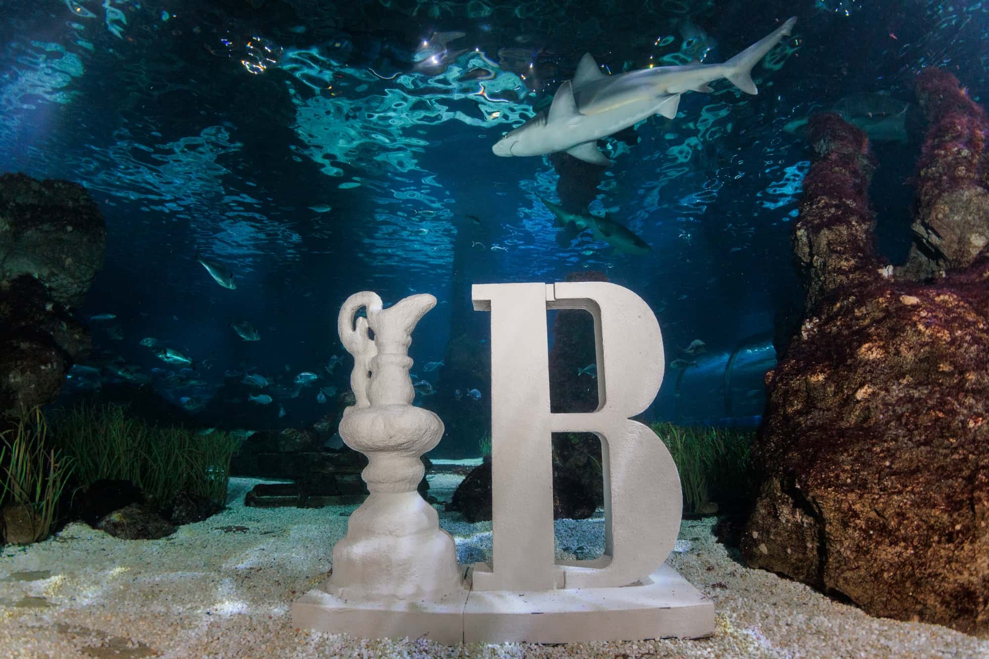 World Sailing - World Sailing unveils line up for season two of the ...